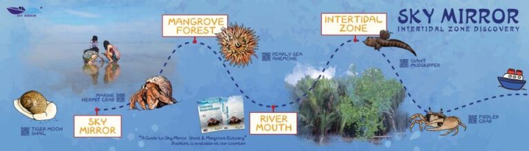 Tiger Moon Snail - Sky Mirror